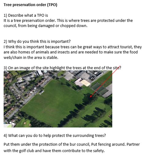 Tree Preservation Order