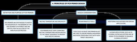 The Function And Importance Of Rna Primers In Dna Replication Algor Cards The Function And Importance Of Rna Primers In Dna Replication Algor Cards