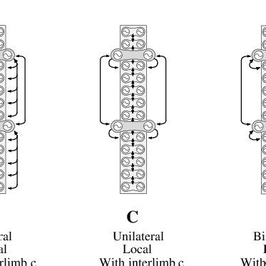 Different Potential CPG Configurations Download Scientific Diagram