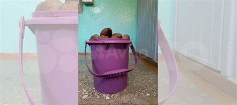 Продам картофель купить в Тюмени Товары для дома и дачи Авито