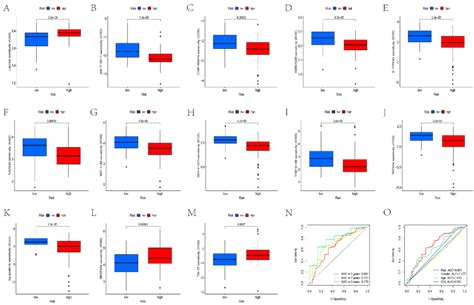 Drug Prediction And Roc Curve Analysis Of The Prognostic Model A M Download Scientific