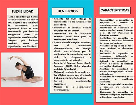 Folleto Flexibilidad Flexibilidad Es La Capacidad Que Tienen Las