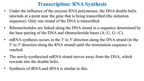 Biochemistry Lecture Notes Nucleic Acids Pdf