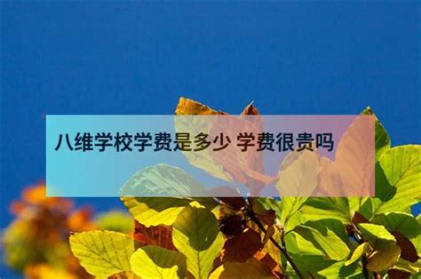 八维学校学费是多少 学费很贵吗 职教网