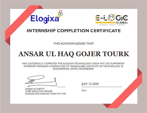 Ansar Ul Haq Gojer Tourk On Linkedin Internship Elogixa