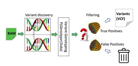 Github Mahendra687methods In Genomic Variant Calling The Basics Of