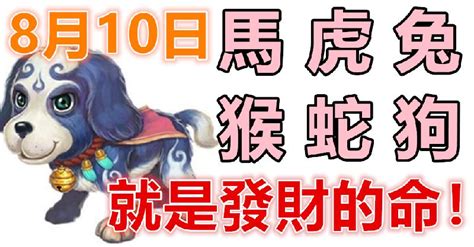 8月10日生肖運勢馬、虎、兔大吉 趣聞圖說