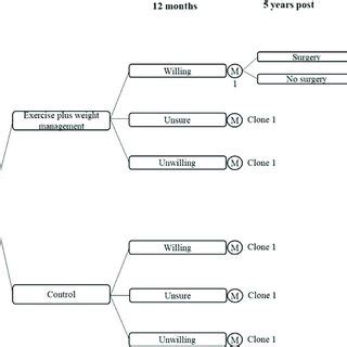 Decision Modelling Framework Download Scientific Diagram