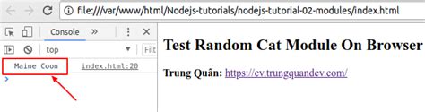 Module Trong Nodejs Khái Niệm Và Thực Tiễn Trungquandev