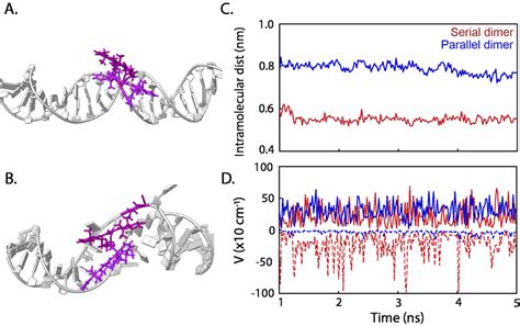 Figure S19 Molecular Dynamics Simulation Results For The Parallel And Download Scientific