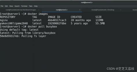 Docker镜像的分层结构、dockerfile的编写及镜像封装优化 Dockerfile分层打包 Csdn博客