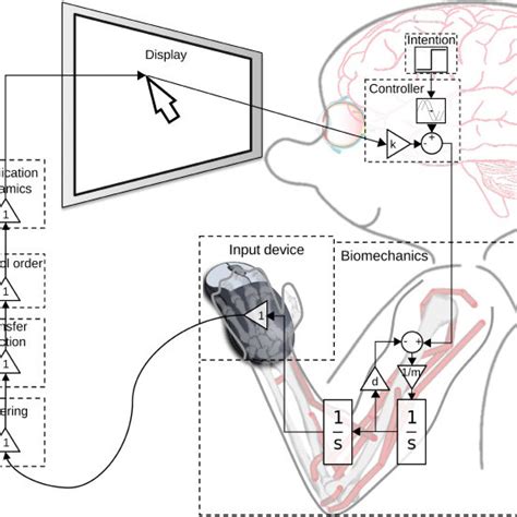 General Control Theoretic Framework For Continuous Human Computer Download Scientific Diagram