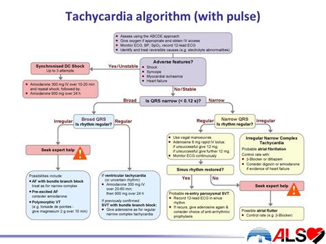 ALS Recertification Course Standardised CPR For Adults Update On Clinical Changes To