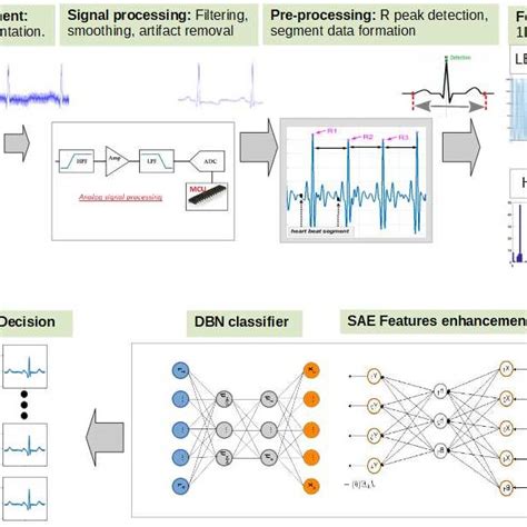 Block Diagram Of Human Identification System Based On Ecg Download Scientific Diagram