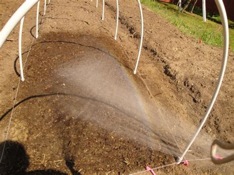 Going Yard Carrot And Parsnip Seed Tape Going Yard Carrot And Parsnip Seed Tape