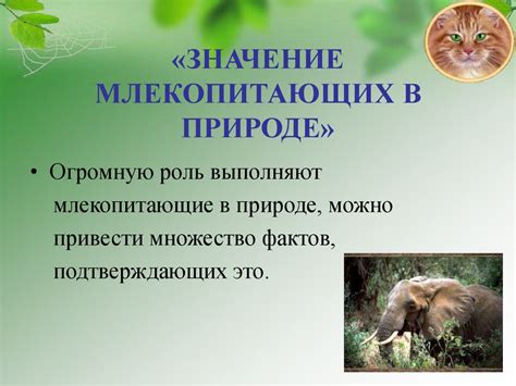 68bc033895b945e5b35657090d131c3c 1 презентация онлайн