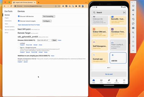 Development And Debugging