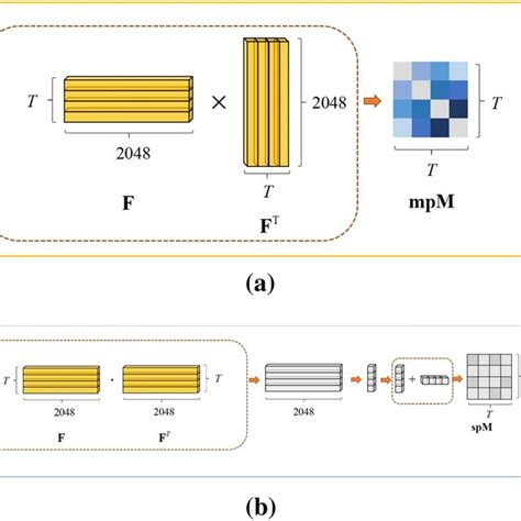 The Calculation Process Of Projection Matrix A Is The Calculation Download Scientific Diagram