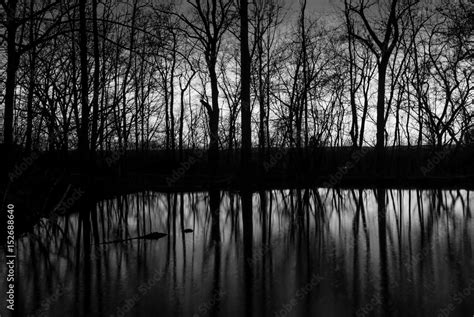Sunset In Moody Dark Forest Colorful Sky Background In Nature Pond