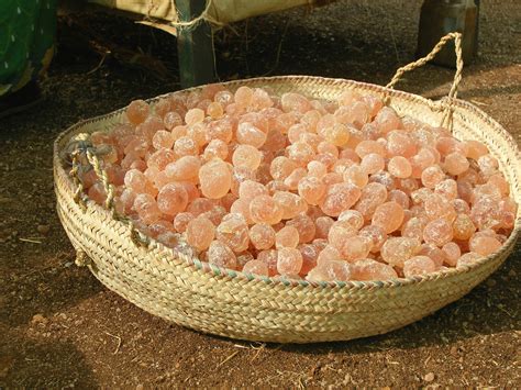 About Us — Gum Arabic Usa 202 630 8738 Rated 1 Store To Buy