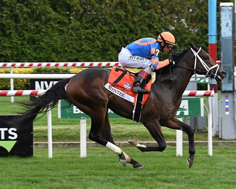 Mentee Fue Muy Superior Con Johhny V En El Futurity Stakes Zona Hipica