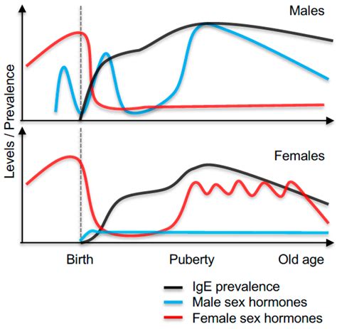 Ijms Free Full Text Immunological Processes Driving Ige