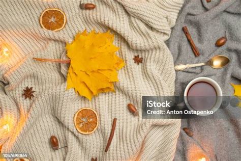 뜨거운 차 및 모직 담요 노란 단풍과 백색 전구 격자 무늬 따뜻함 편안 함 안락 개념 비문에 대 한 빈 공간 위에서 보기 0명에 대한 스톡 사진 및 기타 이미지 Istock