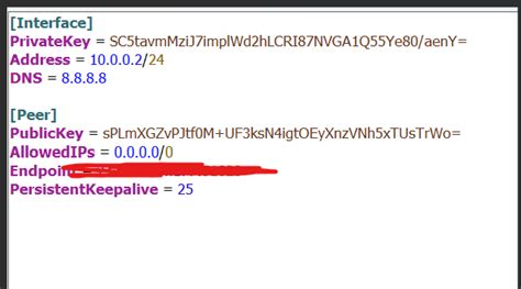 Cant Connect What Did I Do Wrong Rwireguard