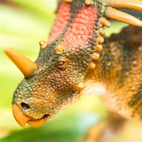 Styracosaurus Dinosaur Toy Figure Safari Ltd® Safari Ltd®