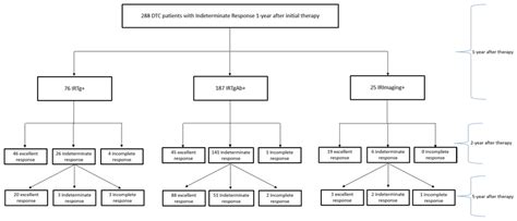 Flowchart Of Disease Evolution Over The Years Download Scientific Diagram