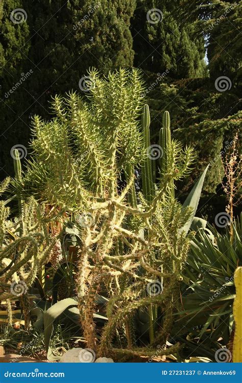 Planting Of Greenery Stock Image Image Of Tree Gardens 27231237