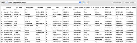 Customized Synthetic Data Data Santander