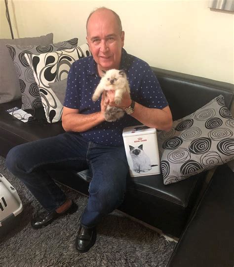 Kora Esta Bella Princesa Persa Himalaya Chocolate Place Se Encuentra En Casa … Cats Luv Us