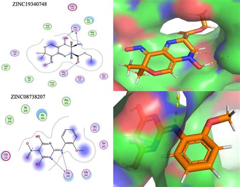 Diagram Showing In Silico Interactions Of 2 Best ZINC Compounds Download Scientific Diagram