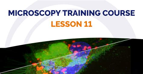 Principles Of Deconvolution Microscopy Oxford Instruments