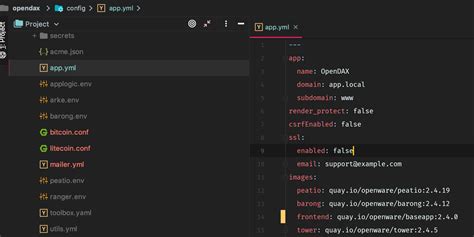 Opendax Is Not Running On Local System Using App Local Yet Docker Compose Shows All The
