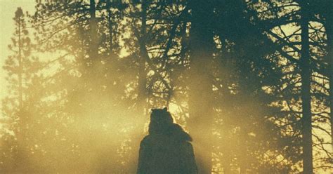 Listen To Thundercats Sexy New Psych Jazz Song