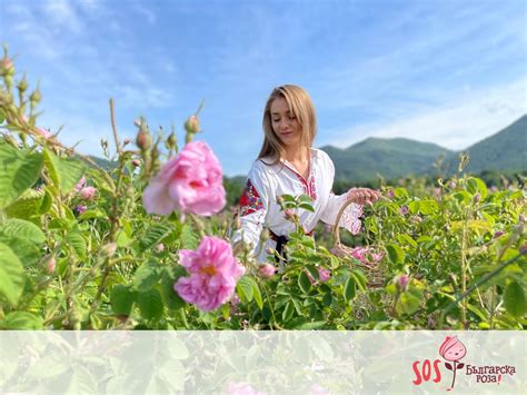 Д р Цонев 💡 Според изследователи в България растат около 3600 вида билки като за лечебни цели