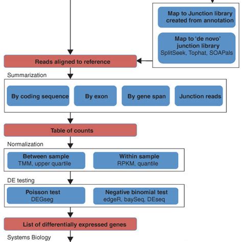 Overview Of The Rna Seq Analysis Pipeline For Detecting Differential Download Scientific