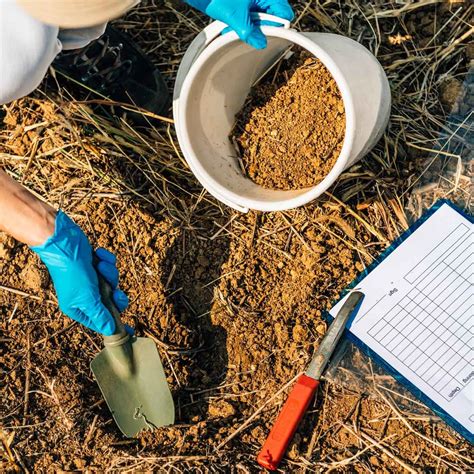 What To Know About Soil Testing For Better Grass Growth