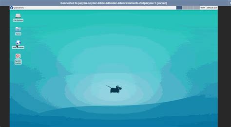 Current Spyder Demo Via Mybinder Doesnt Have Web Browser Working In