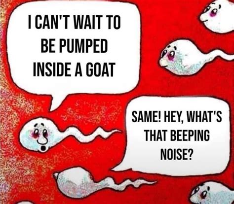 Maggies Motivational Pic Thread V New Rules See Post Page Sniper S Hide