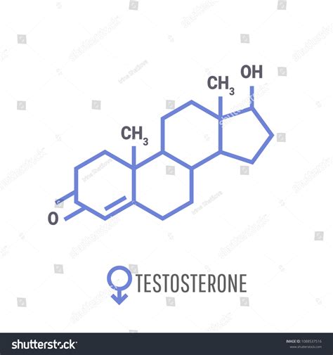 Sex Hormones Molecular Formula Testosterone Hormones 스톡 벡터로열티 프리 1088537516 Shutterstock