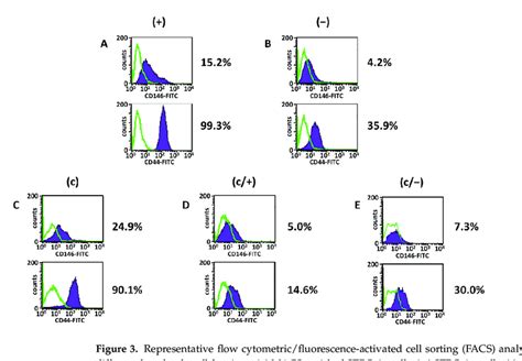 Representative Flow Cytometric Fluorescence Activated Cell Sorting