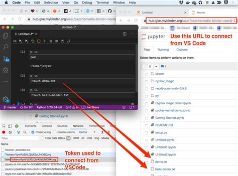 Accessing Mybinder Kernels Remotely From Ipython Magic And From Vs Code Ousefulinfo The Blog