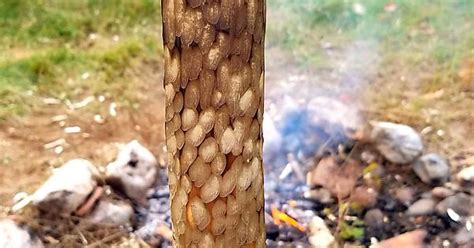 stick album on imgur