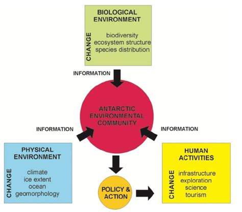 Chart Showing The Interconnectivity Of Biological Environments