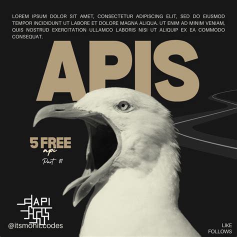 Free Api For Your Project