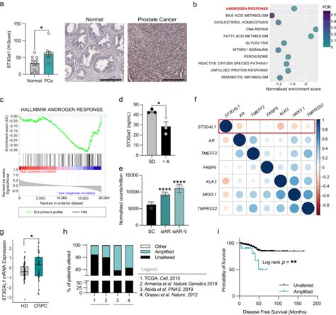Siglec 配体的 St3 β 半乳糖苷 α 2 3 唾液酸转移酶 1 （st3gal1） 合成介导前列腺癌的抗肿瘤免疫 Communications Biology X Mol