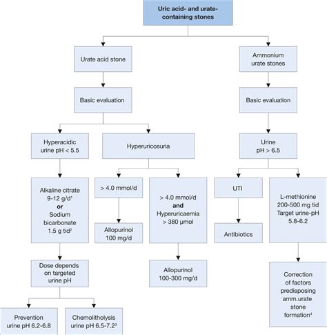 Calcium Phosphate Stone